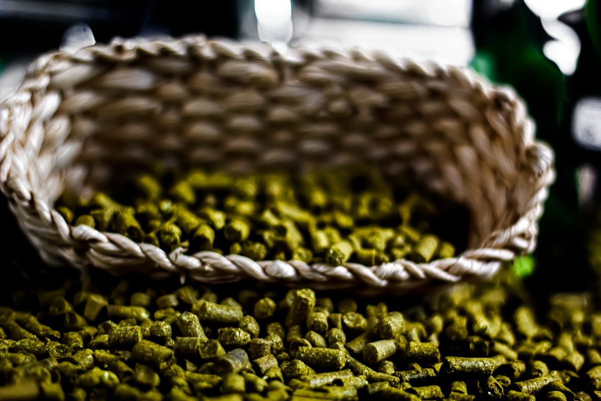 Grupo Petrópolis inicia venda de lúpulo em pellets pelo e-commerce ...