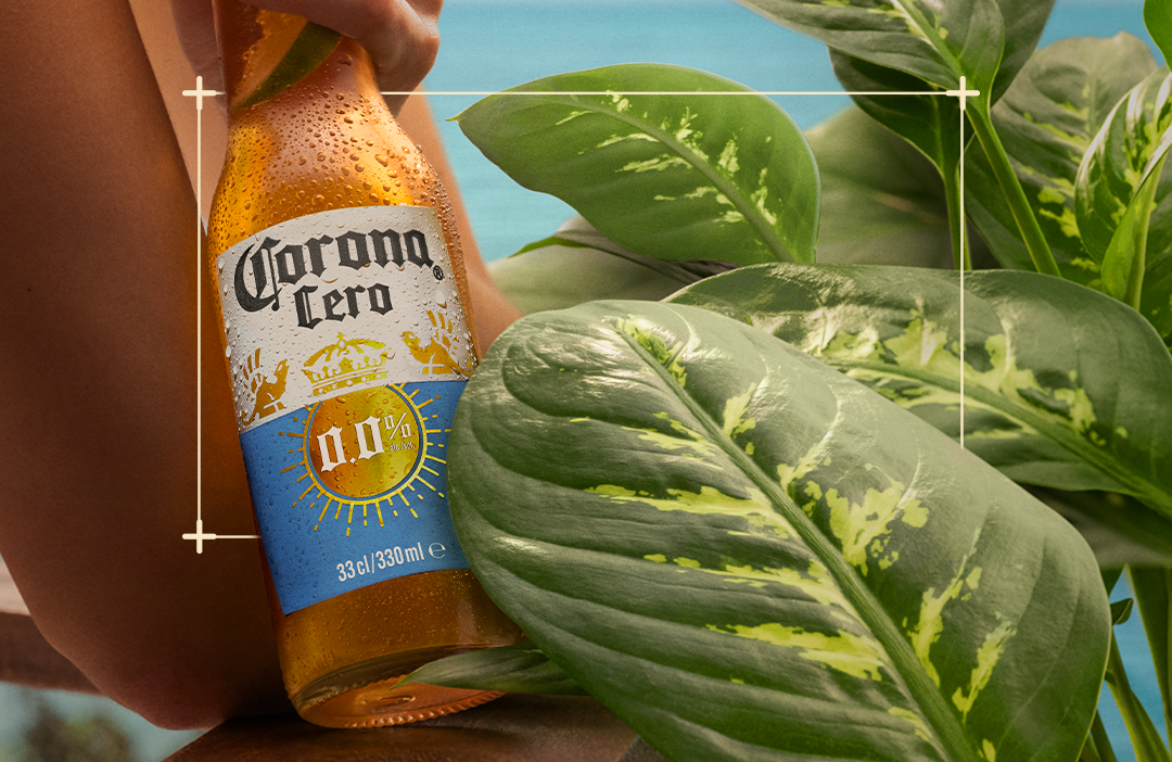 Corona Natural Codes: uma experiência conectada com a natureza ...